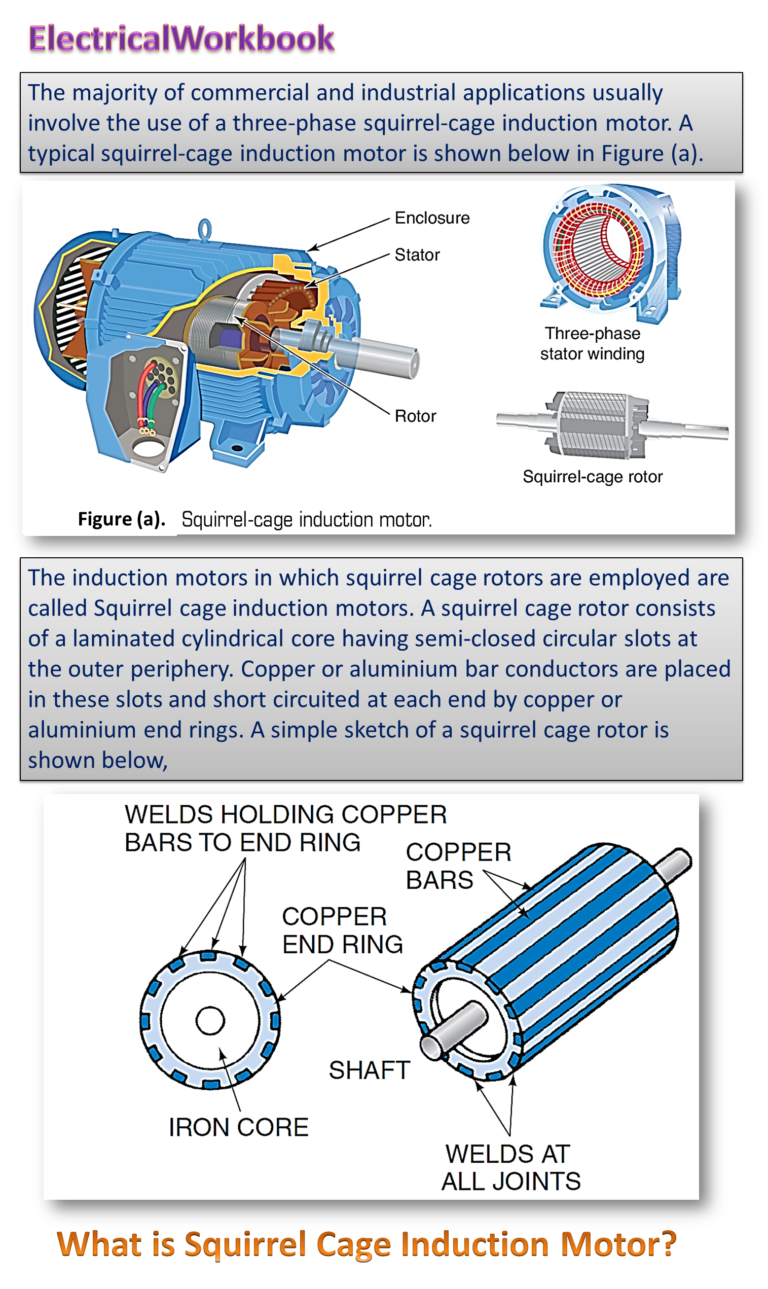 What is Squirrel Cage Induction Motor? Working Principle, Construction ...